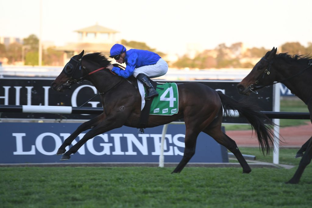 Festival Stakes Day Free Tips, Bets and Field Preview – 2019 ...